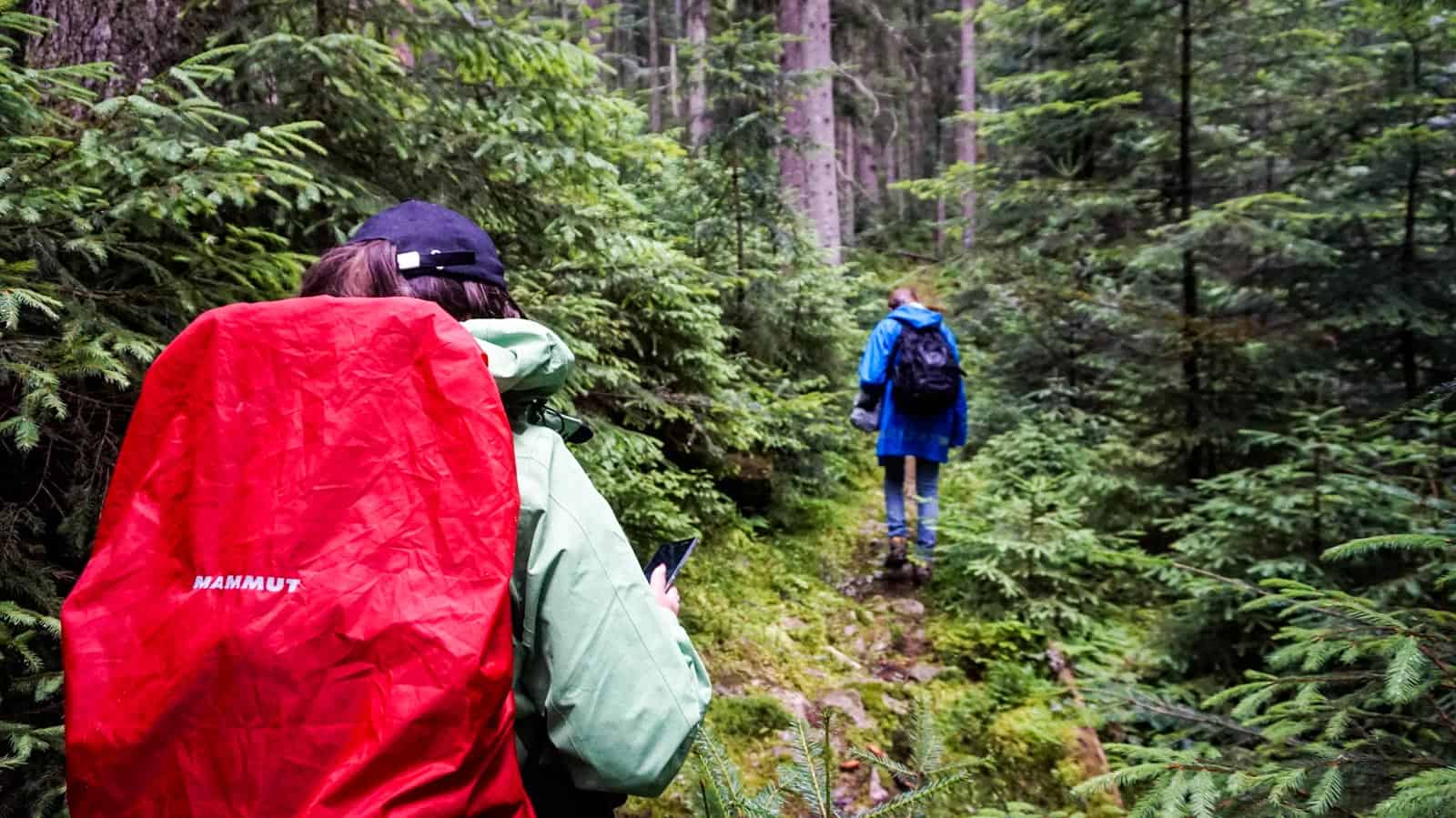 Wilderness Audits in Ukraine