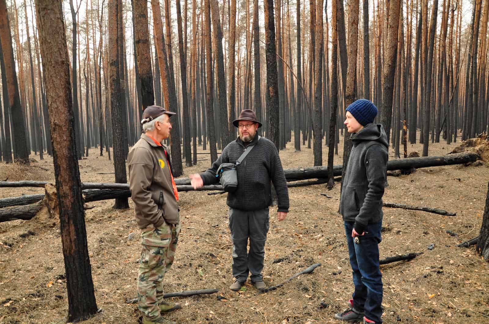 Forest fire in Germany and its aftermath