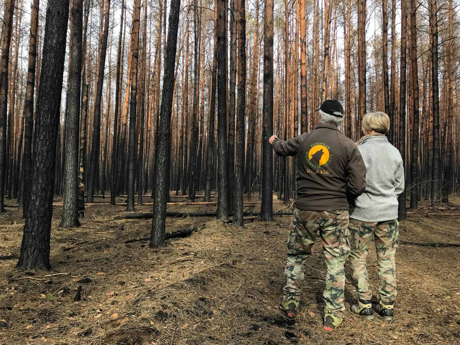 How Climate Change Impacts Forests