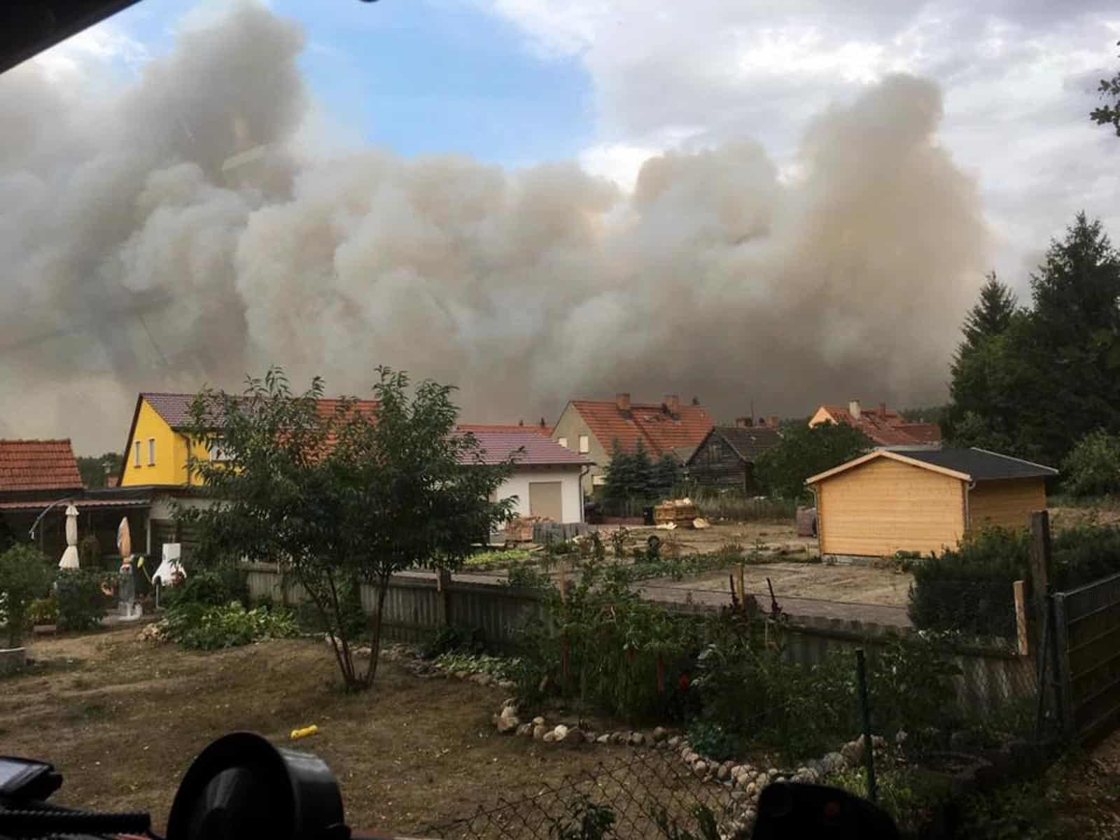 Forest fire in Germany and its aftermath