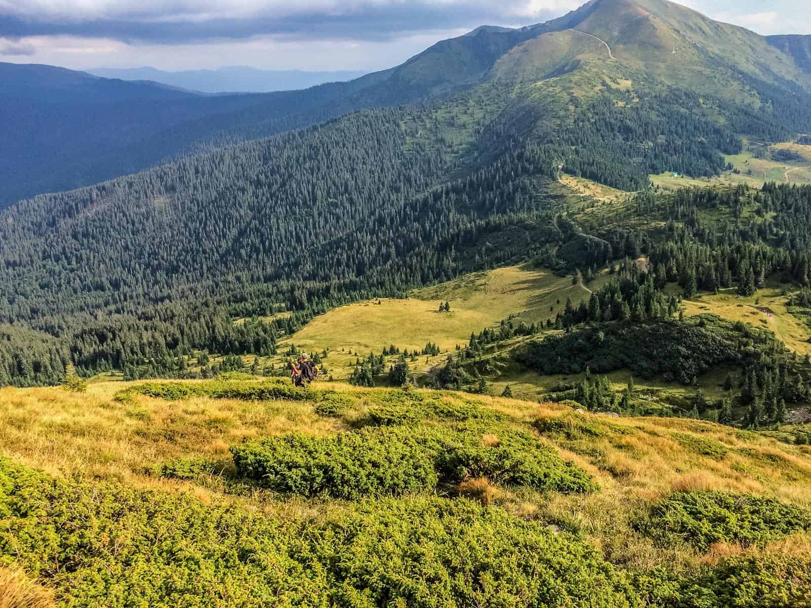 How the Wallachians changed the alpine treeline