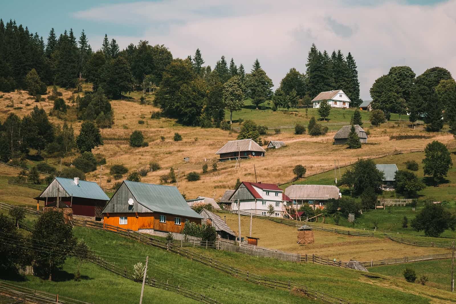 Ukraine Nature © Brandon Hartwig 21443.jpg - European Wilderness Society