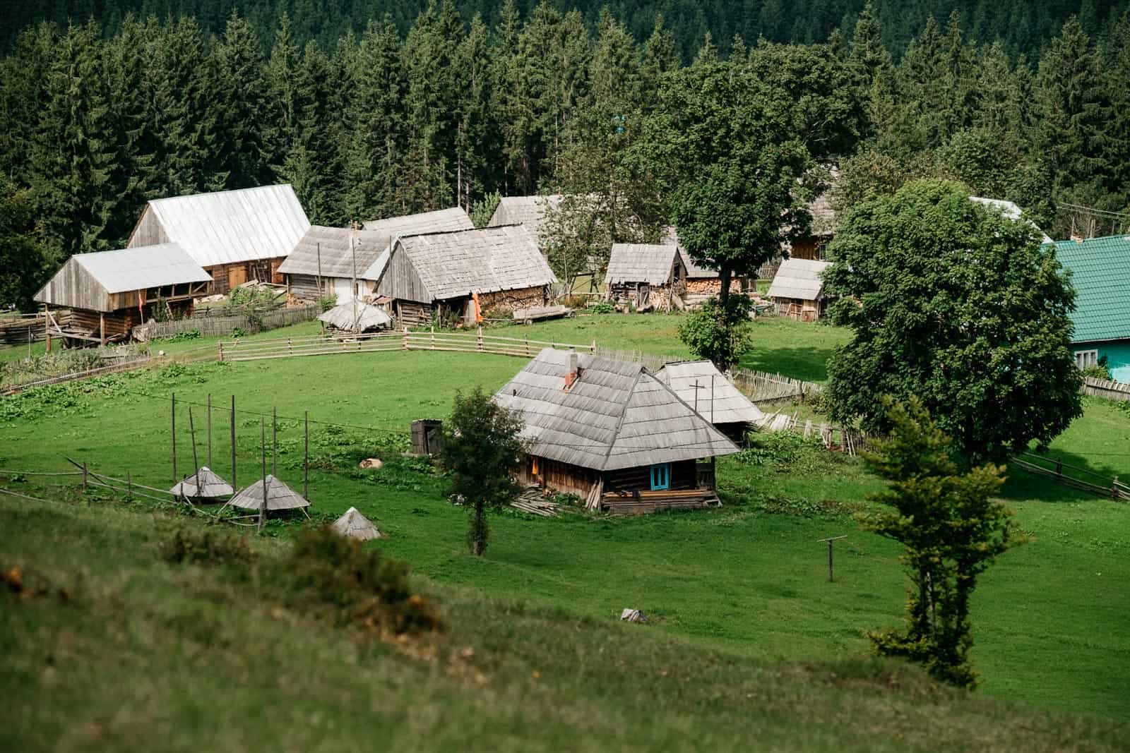 Wild Ukraine with volunteers